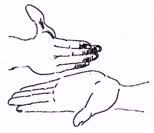 Practice four widely used Carnatic talas – carnaticstudent.org